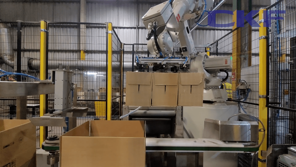CKF supply their latest robotic case packing system to 3PL