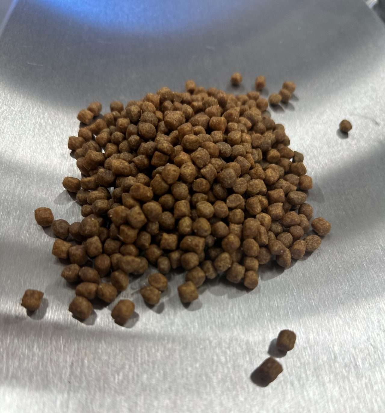 CKF delivers their latest Kibble and bag transfer system to a world ...